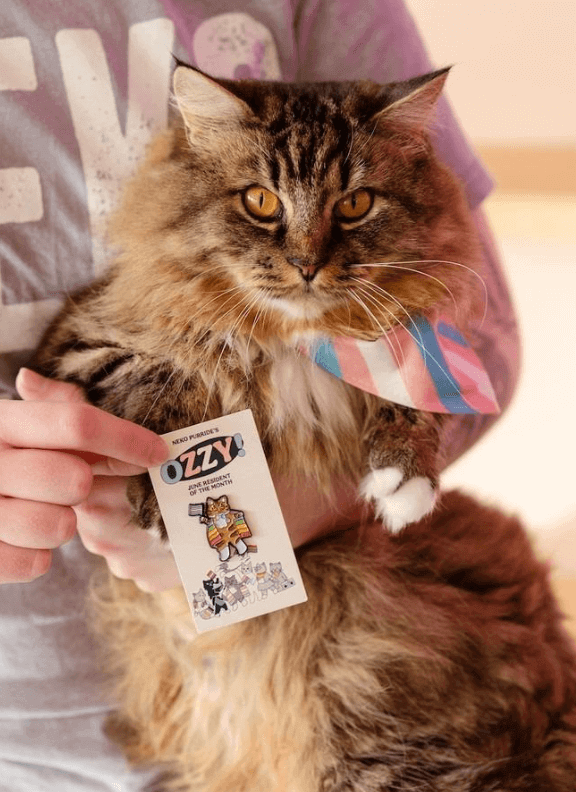 June's Cat of the Month is a Purride Icon?! | NEKO: A Cat Cafe | SIP ...