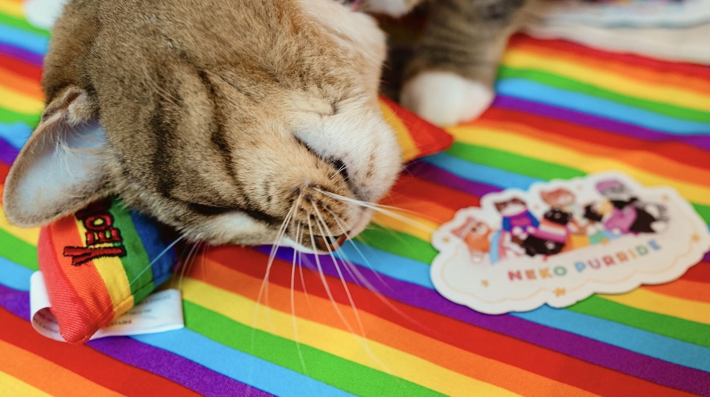 NEKO Purride 2025 | NEKO: A Cat Cafe | SIP THE DRINKS. PET THE CATS ...